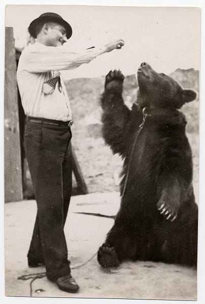 Maspeth - Queens - by Rob Stephenson - The Neighborhoods