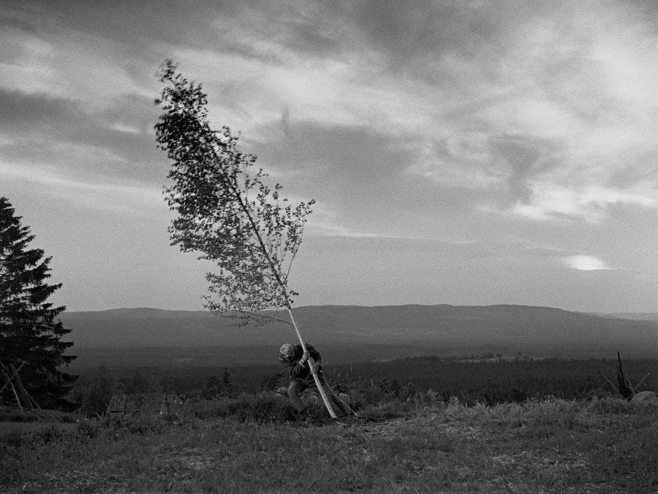 100 Movies Every Catholic Should See #111: The Virgin Spring (1960)