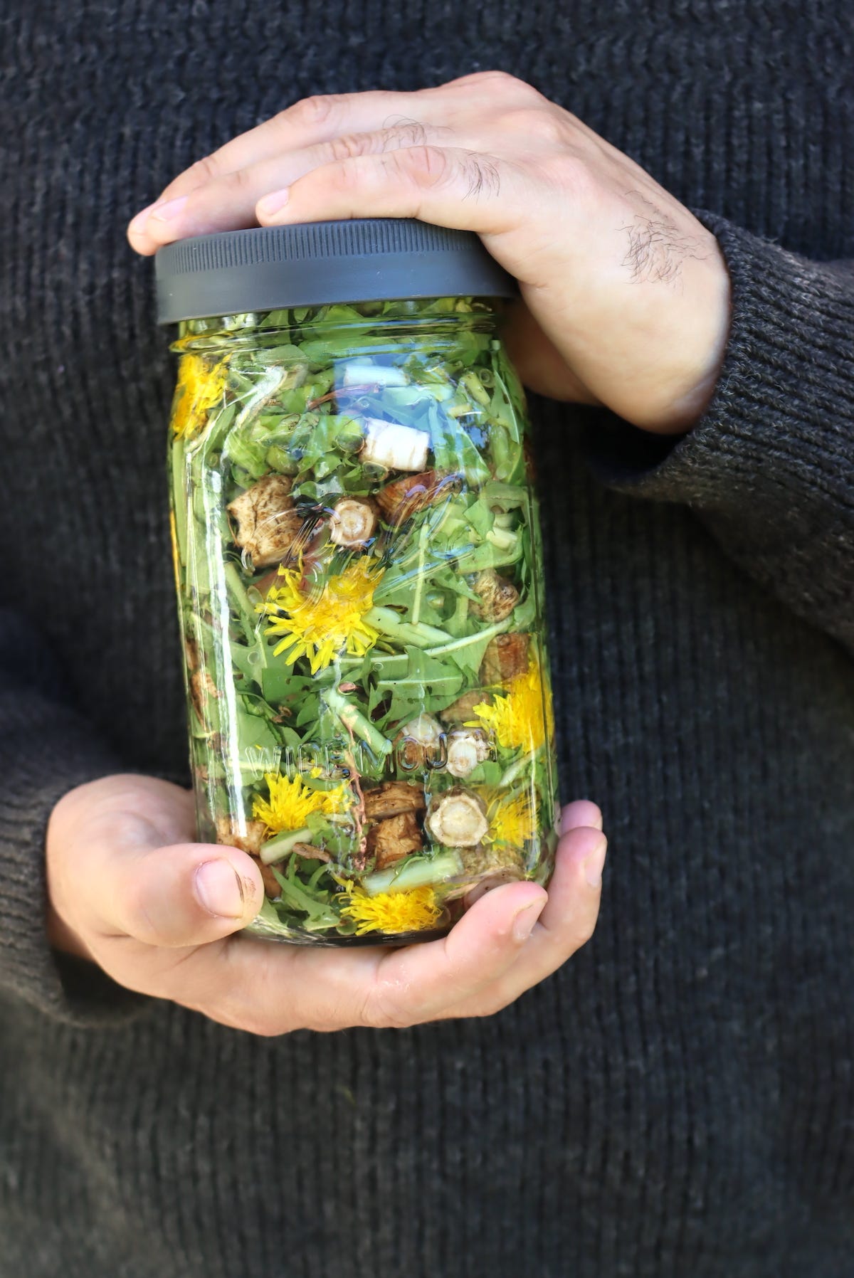 Dandelion Recipes & Remedies - by Ashley Adamant