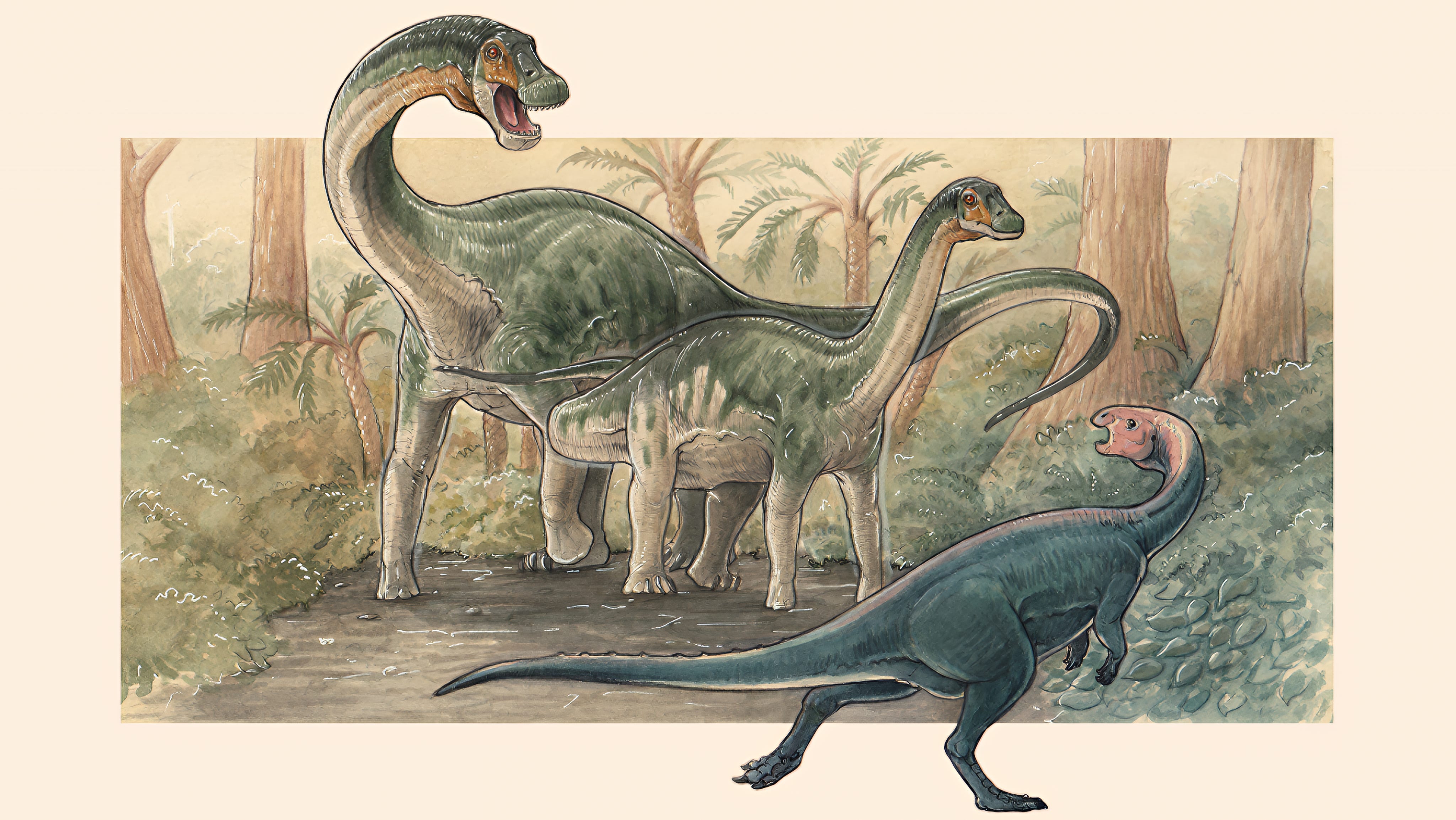 I paleontologi scoprono una nuova specie di titanosauro in Argentina