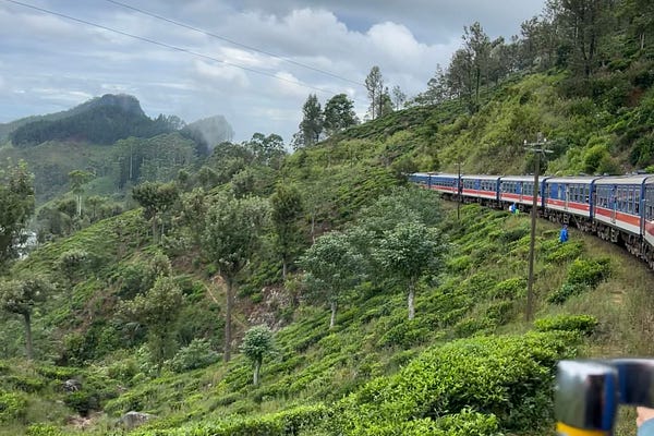 Tastebuds | Beth O'Brien | Substack