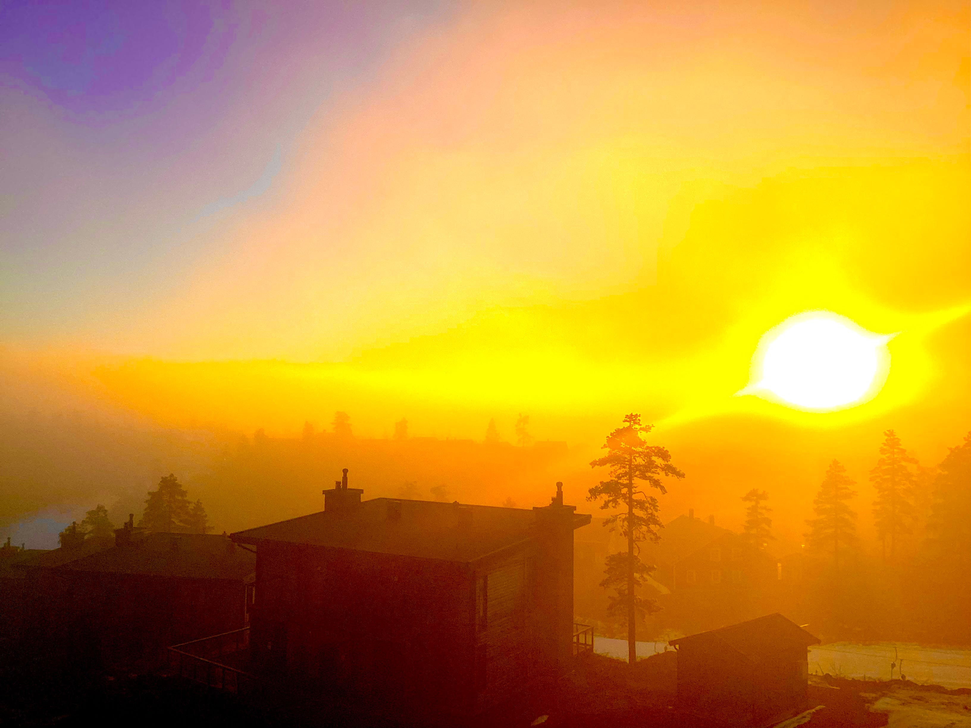 BREV 368 – Kvinnor med Lidl-påsar på huvudet i Malung.