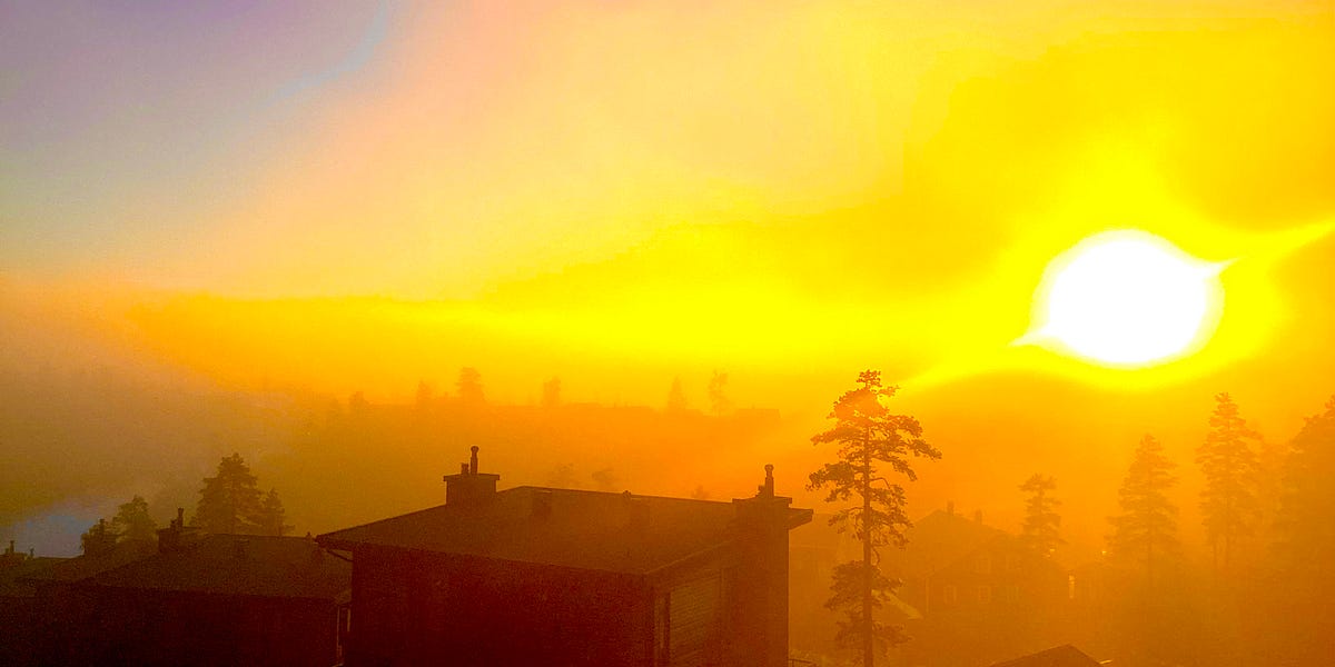 BREV 368 – Kvinnor med Lidl-påsar på huvudet i Malung.