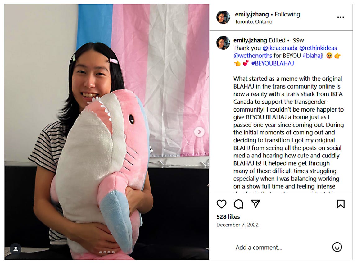 What's the Deal with Blåhaj? - by Anni Arbour