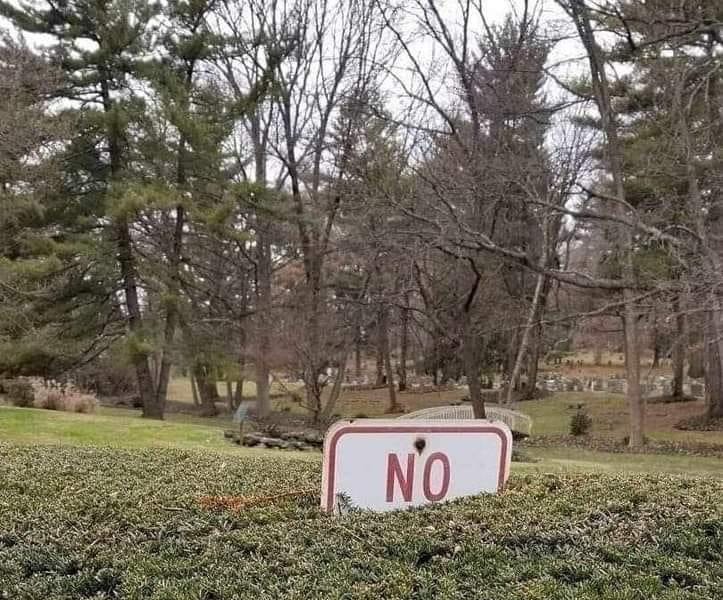 "Chunking Ahead" through September - by Cassidy Steele Dale