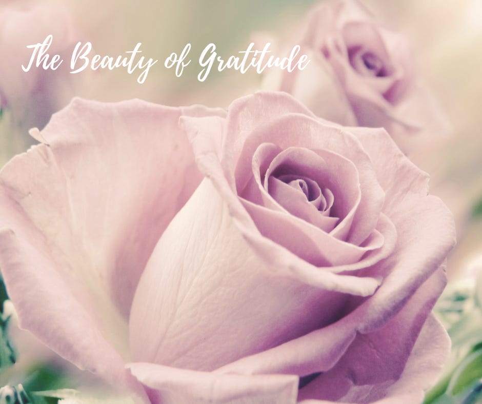 The Shift is Gratitude - by Toni Jackson Lampley