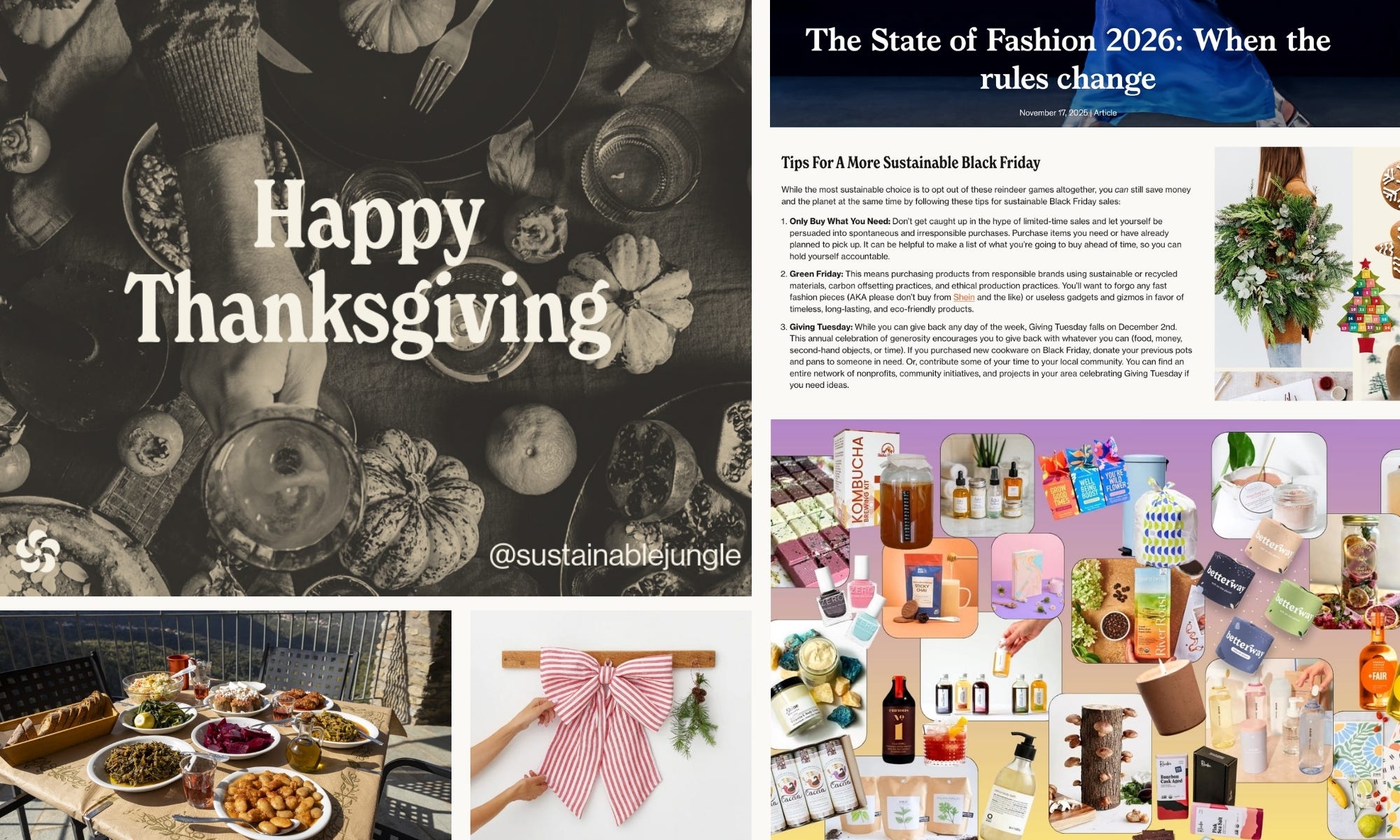 Thanksgiving Week + Good News + Black Friday + SJ Updates