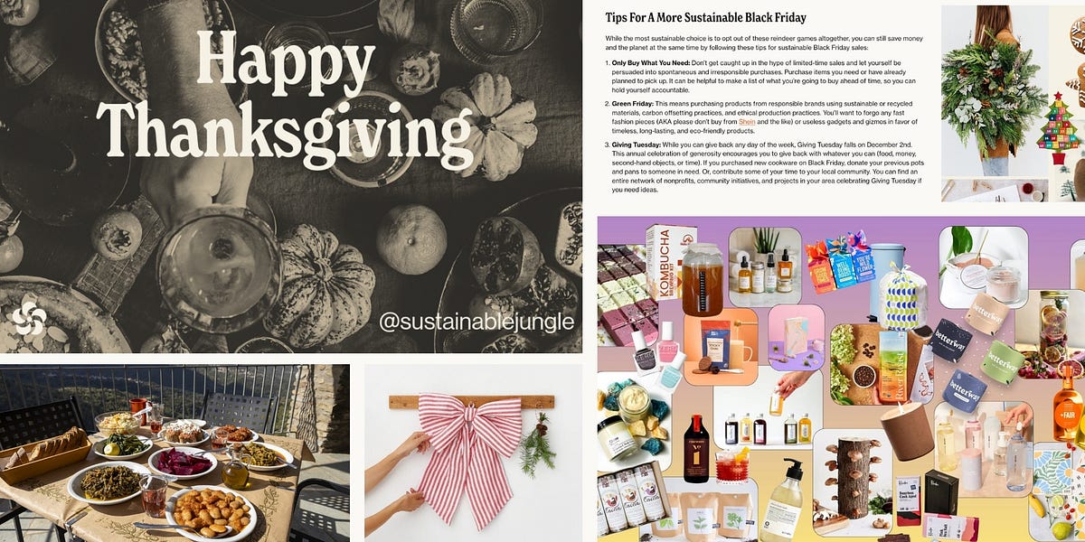 Thanksgiving Week + Good News + Black Friday + SJ Updates