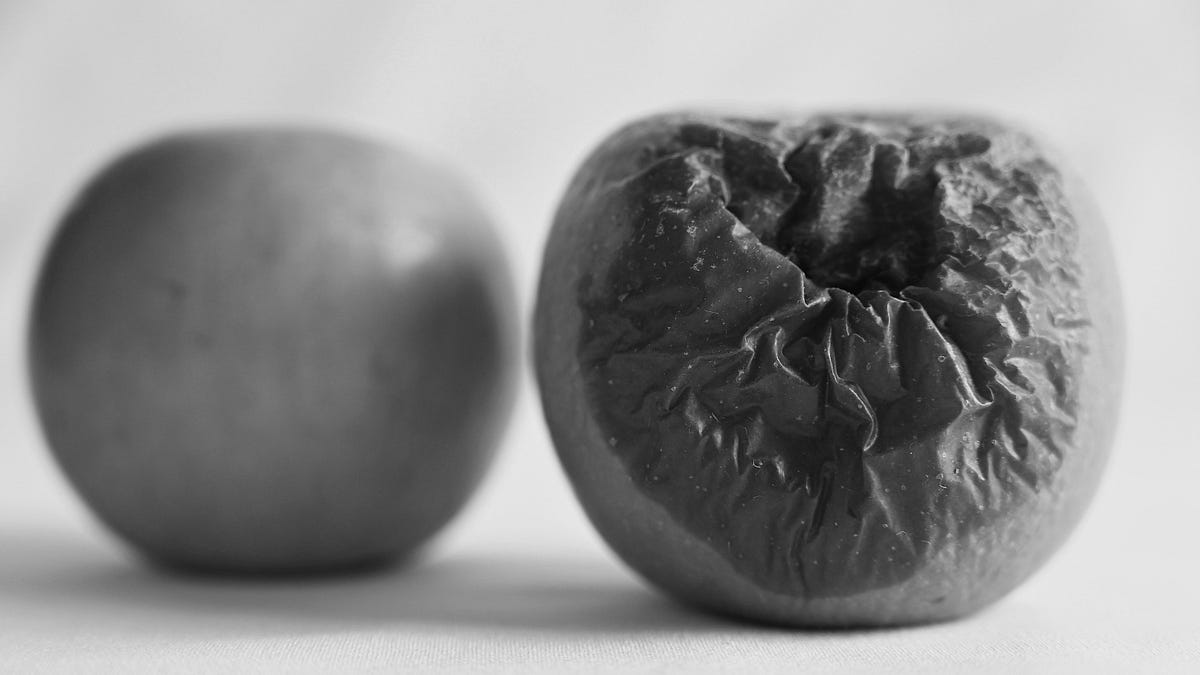 Decaying for Decades - by France Pinzon • literary speck