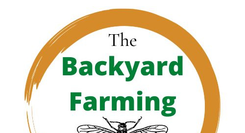Backyard Farming Connection: Homesteading and Gardening | Gretchen at Backyard Farming | Substack