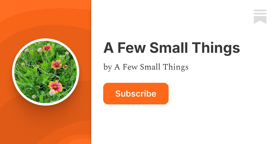 A Few Small Things | Substack
