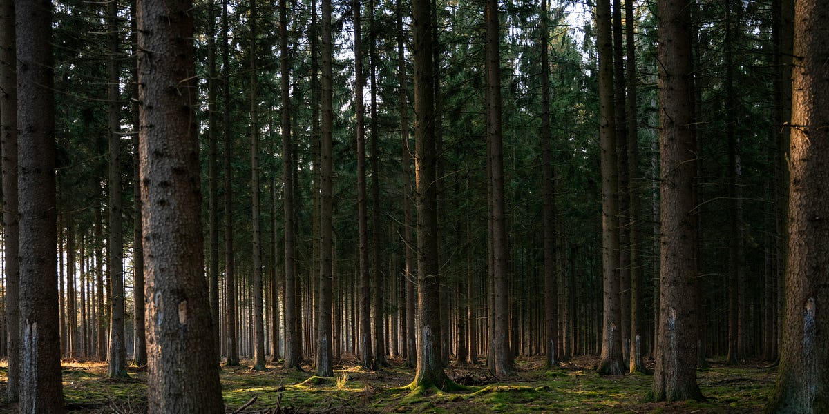 168. Making Better Choices: Know The Context (Part 2 of 4)