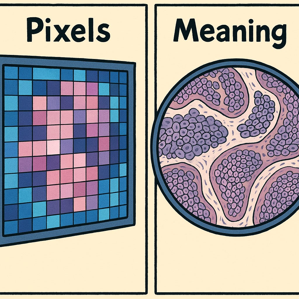 The Invisible Cost of 40× in Digital Pathology | Rethinking Resolution