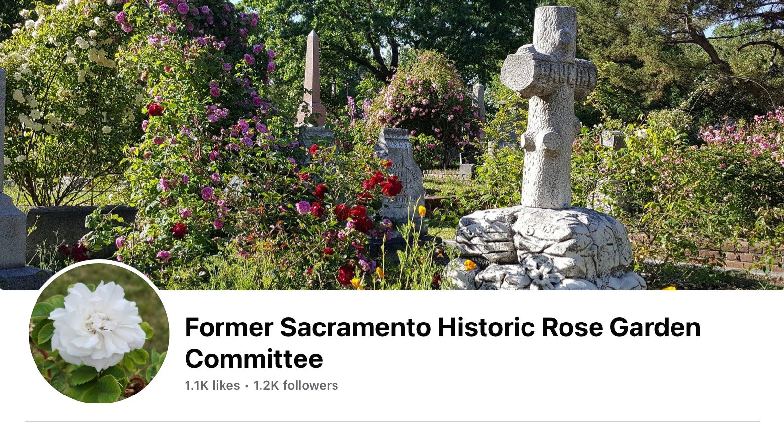 In Remembrance of Cemetery Roses: The Fight to Save Over 500 Historic ...