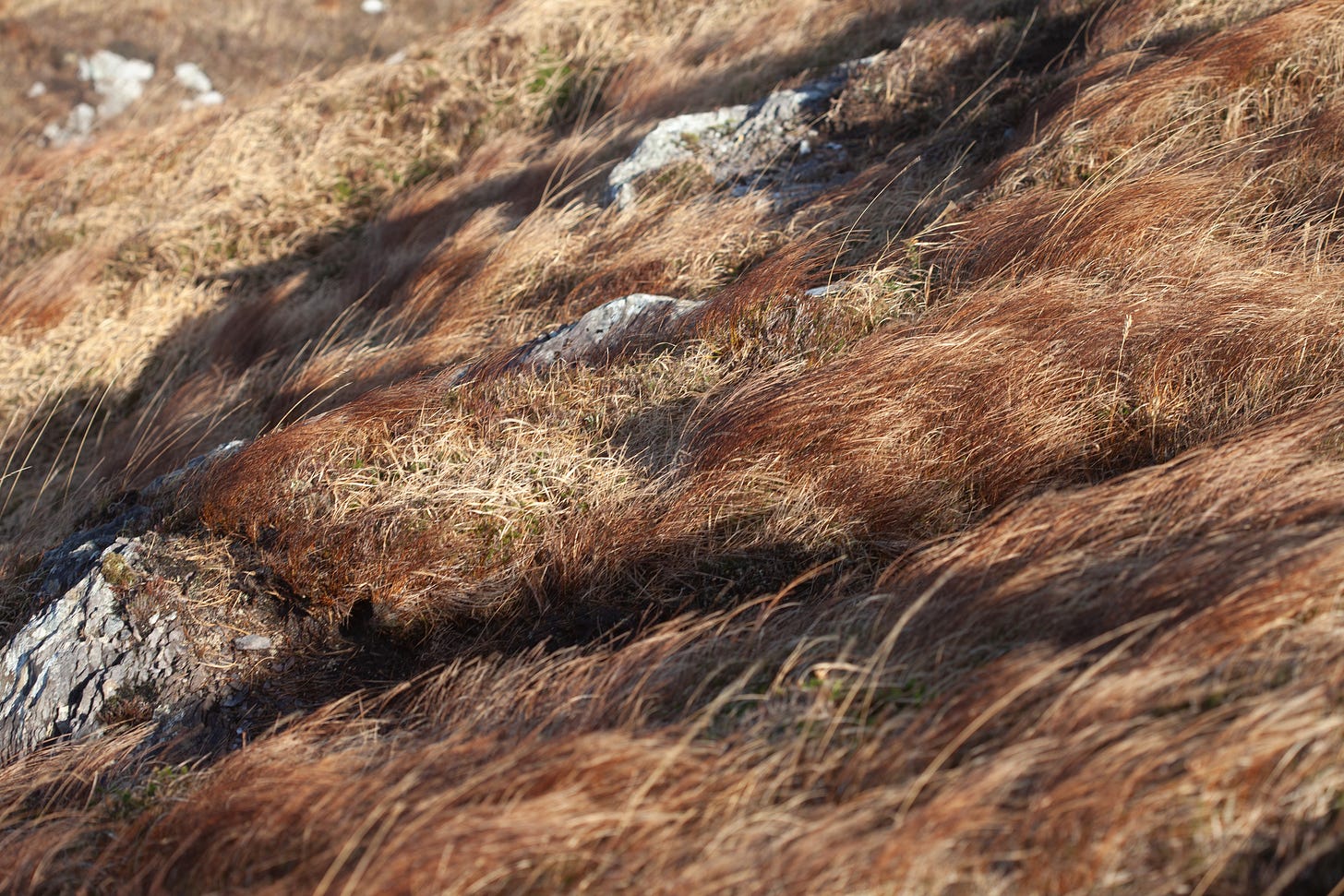 Ridge Walk on a Wild Edge.