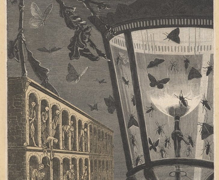 Navigating Substudies - by James Crane - Substudies