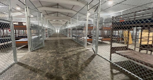 MostlyPeaceful.media | Julio Rosas | Substack