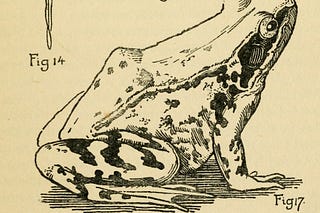 Necessary Monsters | Robert Walrod | Substack