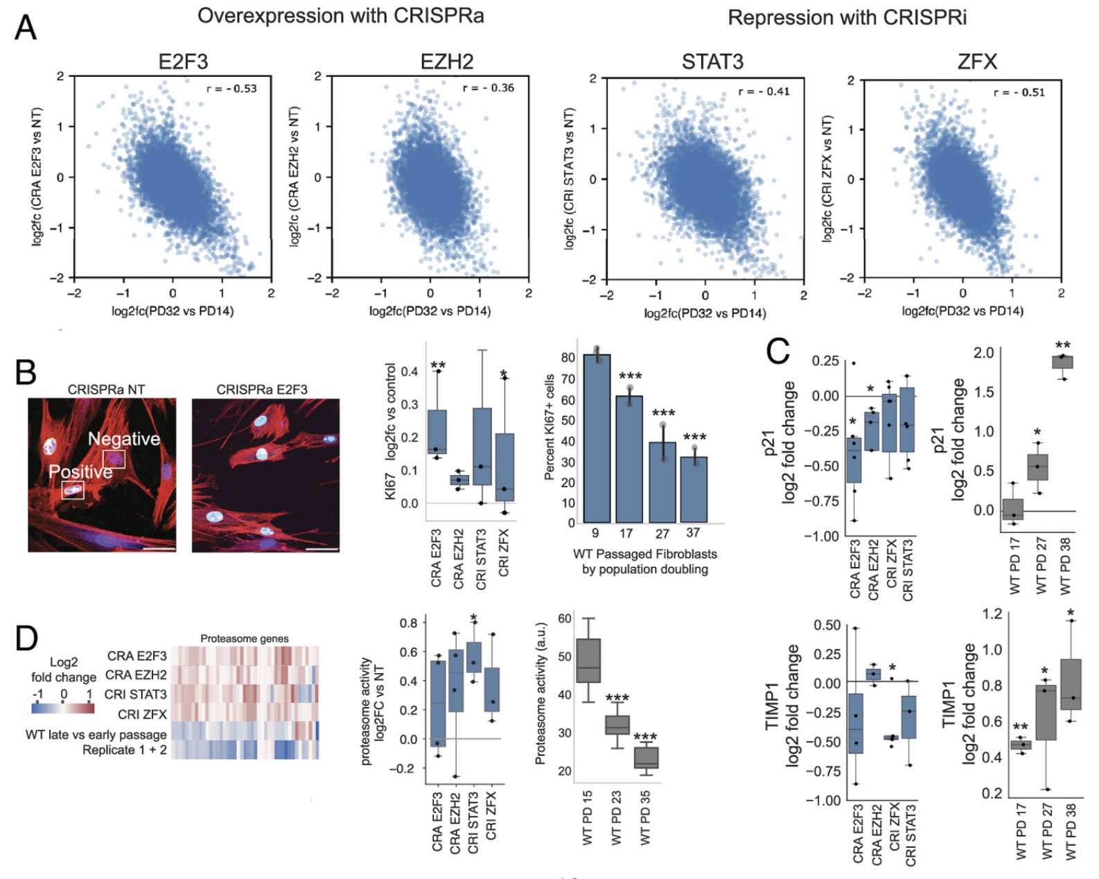 Publication of the first research to show repression of a single ...