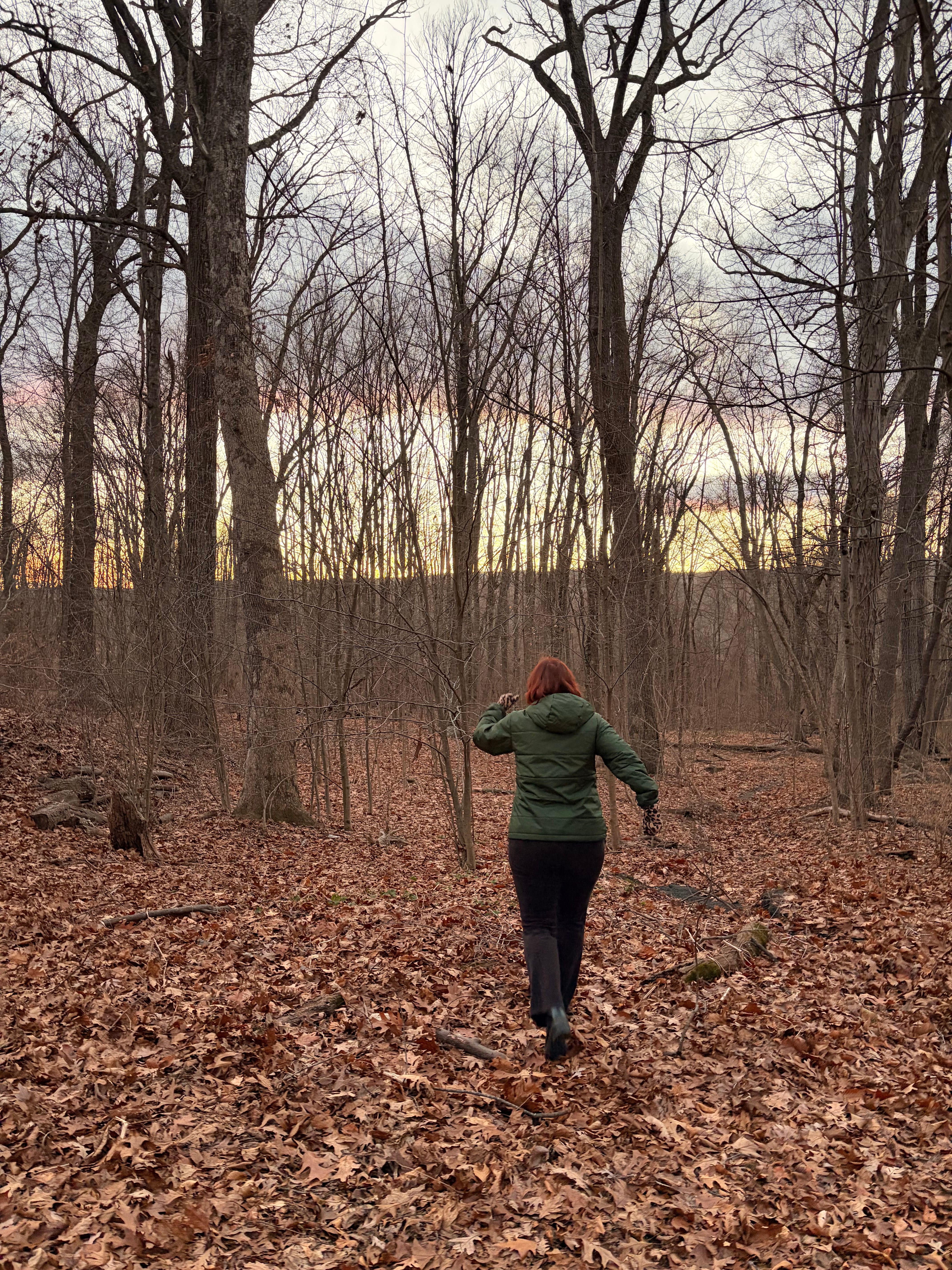 Goodbye, 2025. - by Kayla Cagan - The Comma