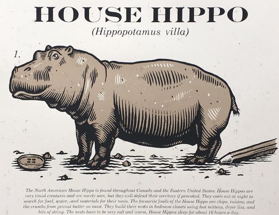 Do You Have House Hippos and Not Know It?