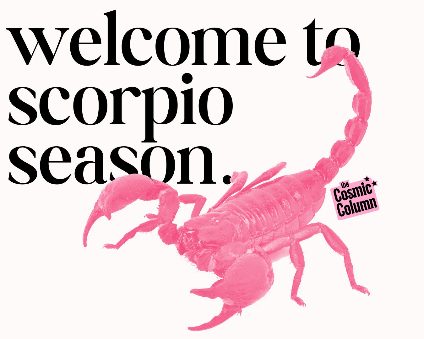 ZODiAC MAGAZiNE: SCORPiO SEASON 2025
