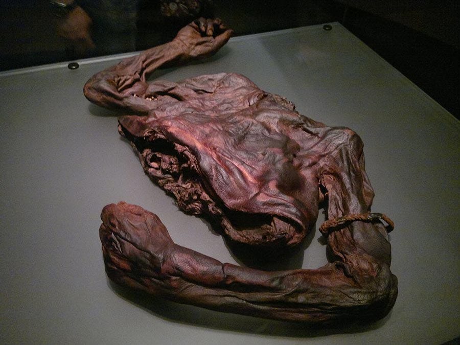 Unravelling the Story Behind the Old Croghan Man’s Bog Body