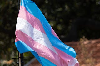 David Vance Substack | Substack