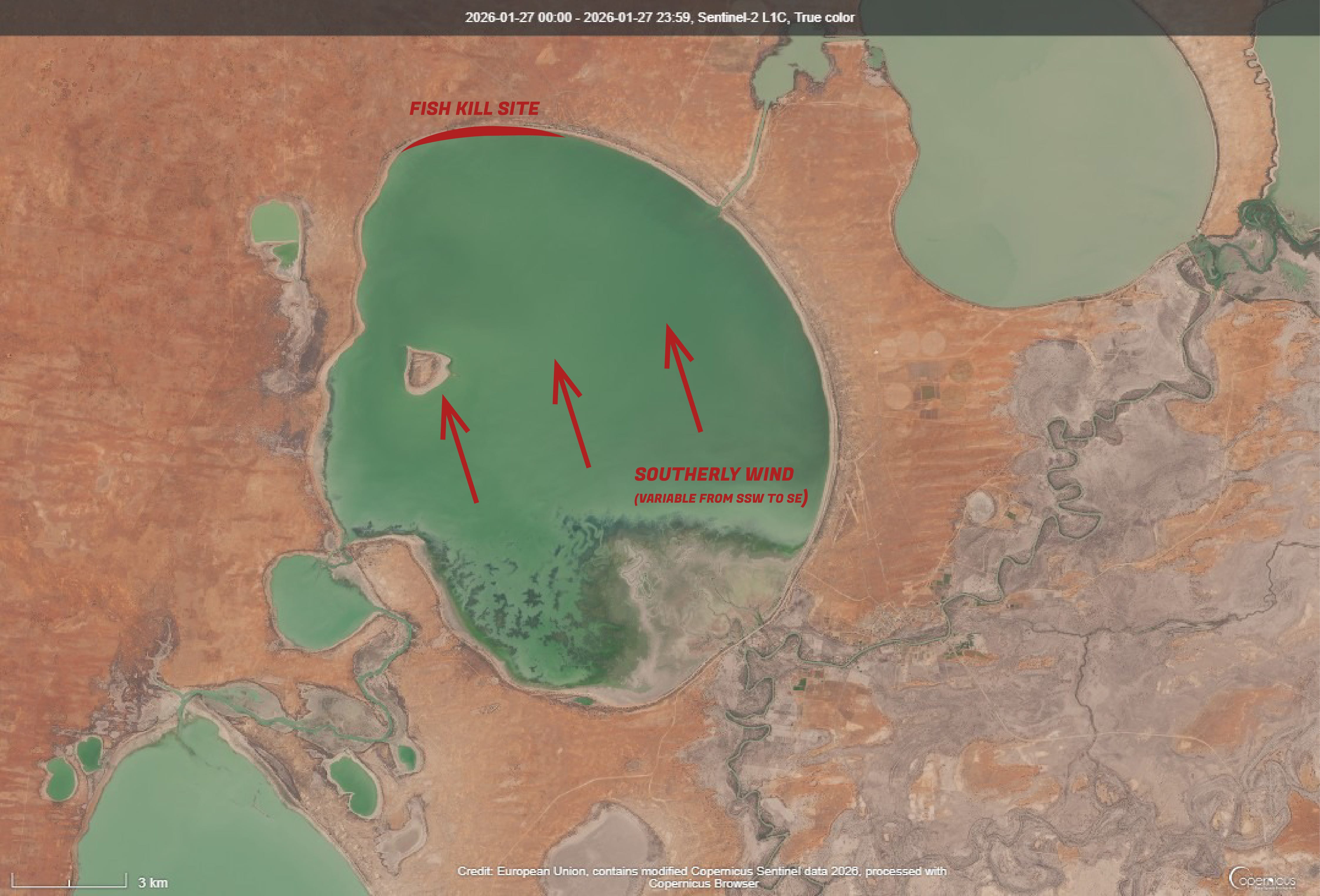 Another fish kill at Menindee Lakes after Unprecedented Heatwave ...