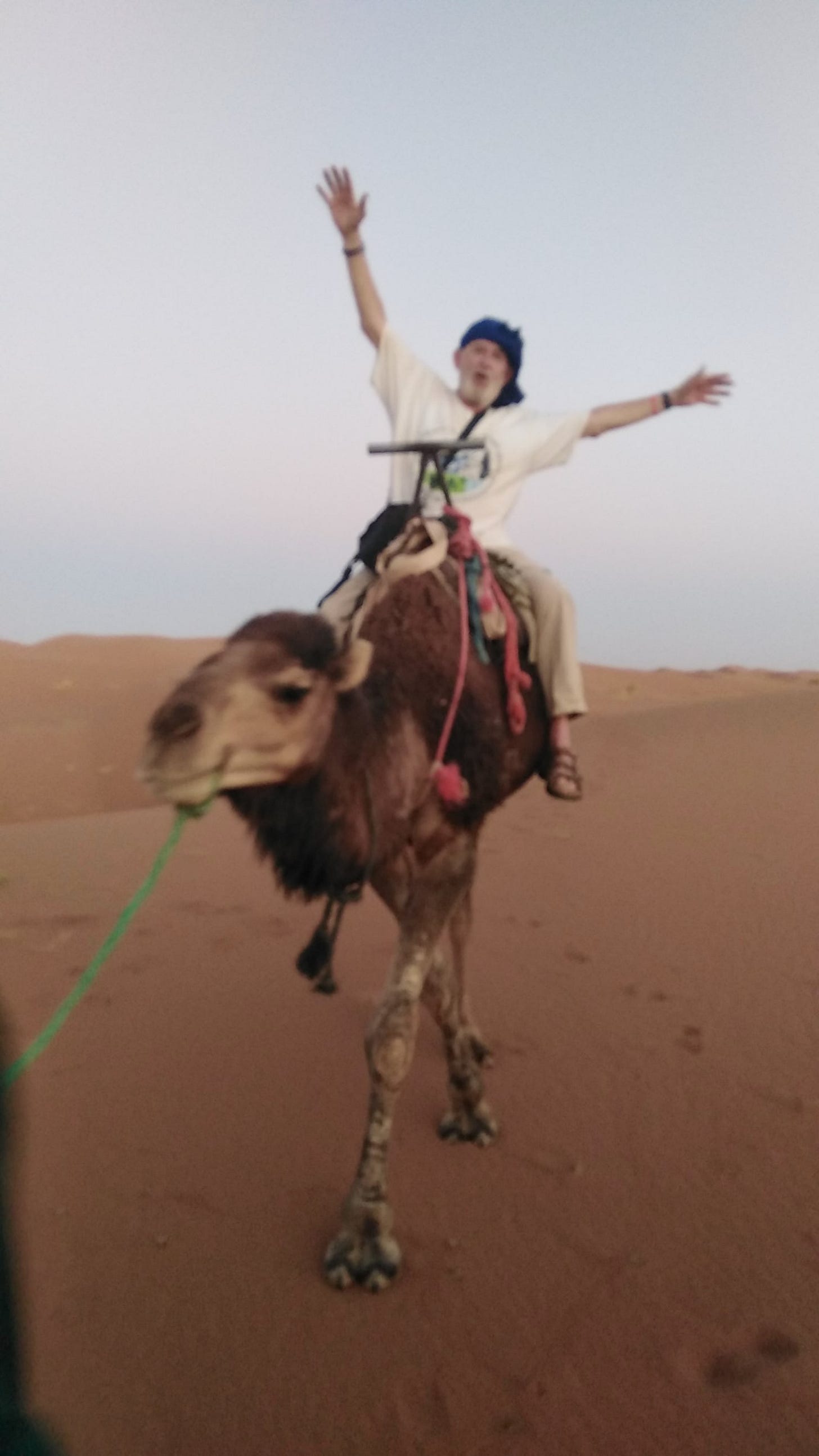 Spring 2025 026 Sahara Camel Ride - by Bruce Cadbury