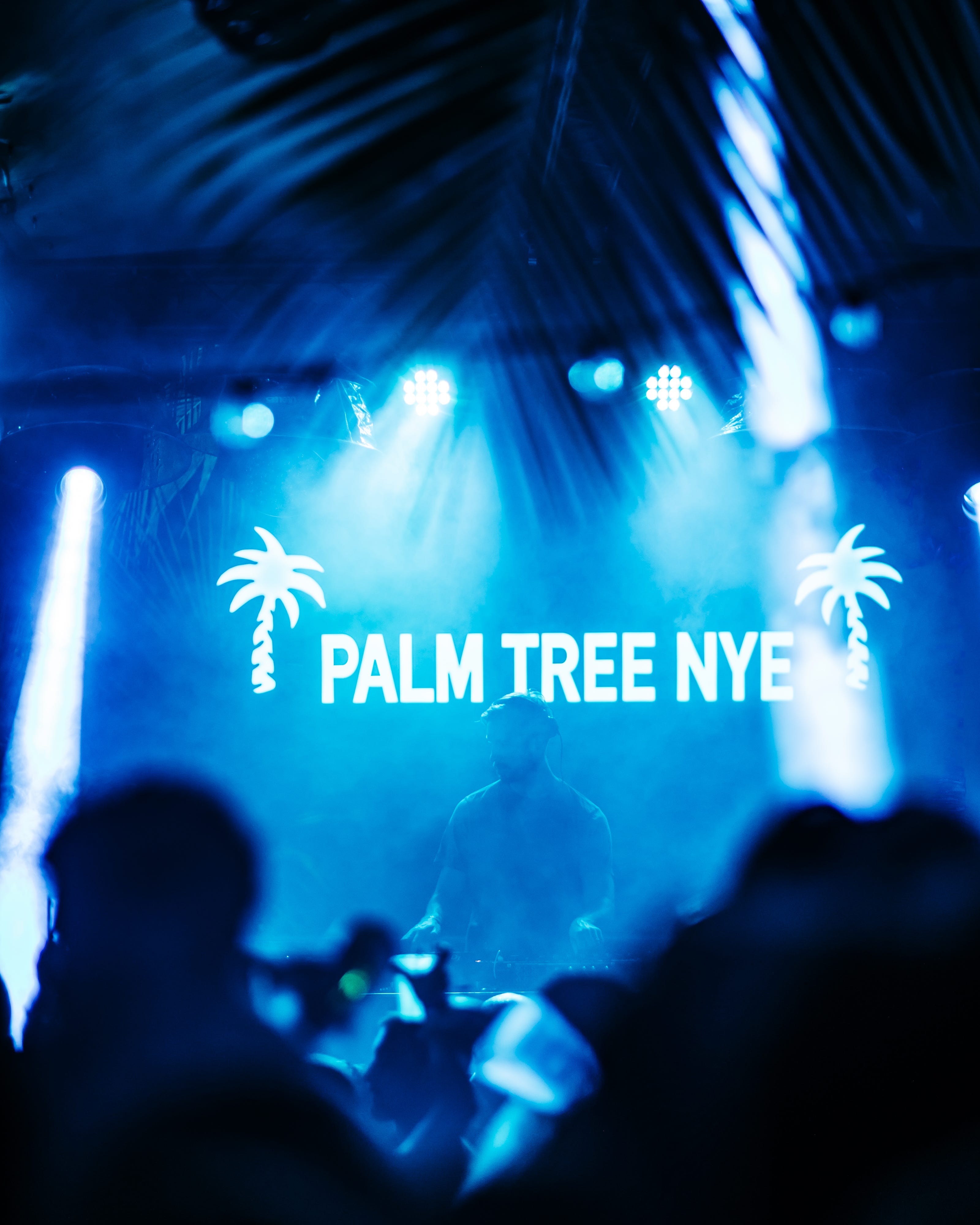 Calvin Harris Headlines Palm Tree Crew's Star-Studded St. Barths NYE ...