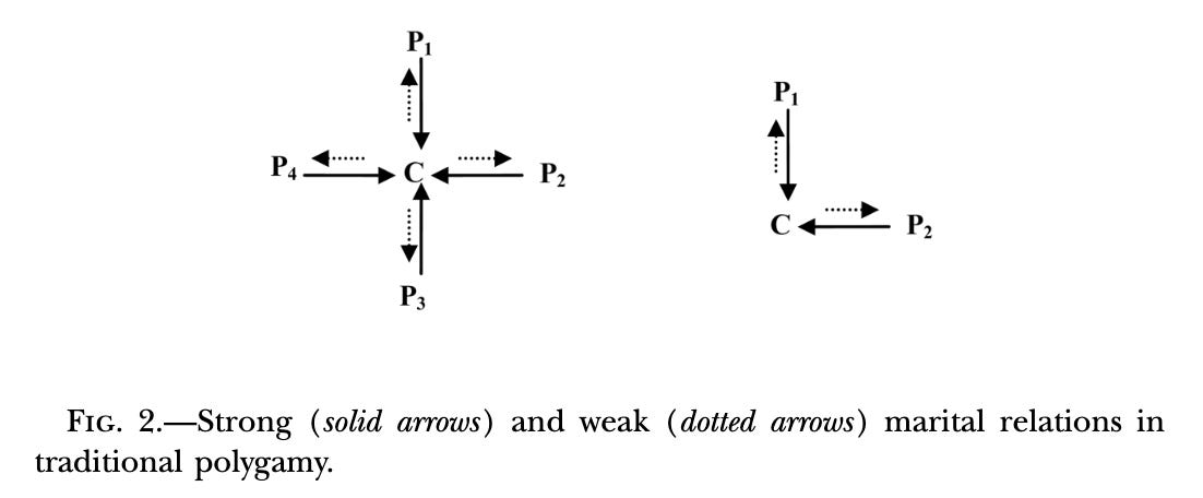 The Impracticality of Modern Polygamy - Raz’s Revelations