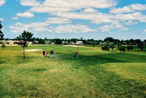 Green Green Grass of Golf - Laura Erickson's For the Birds