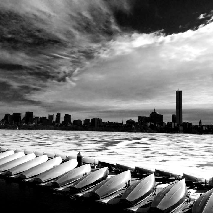 CA Productions/Carol Ann | Substack