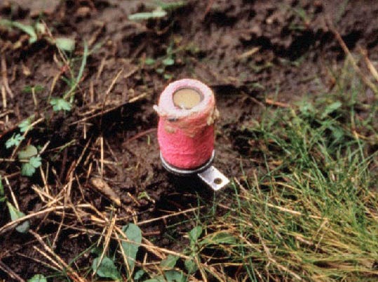 Trump Admin Opens Door to Resumed ‘Cyanide Bomb’ Use on BLM Land