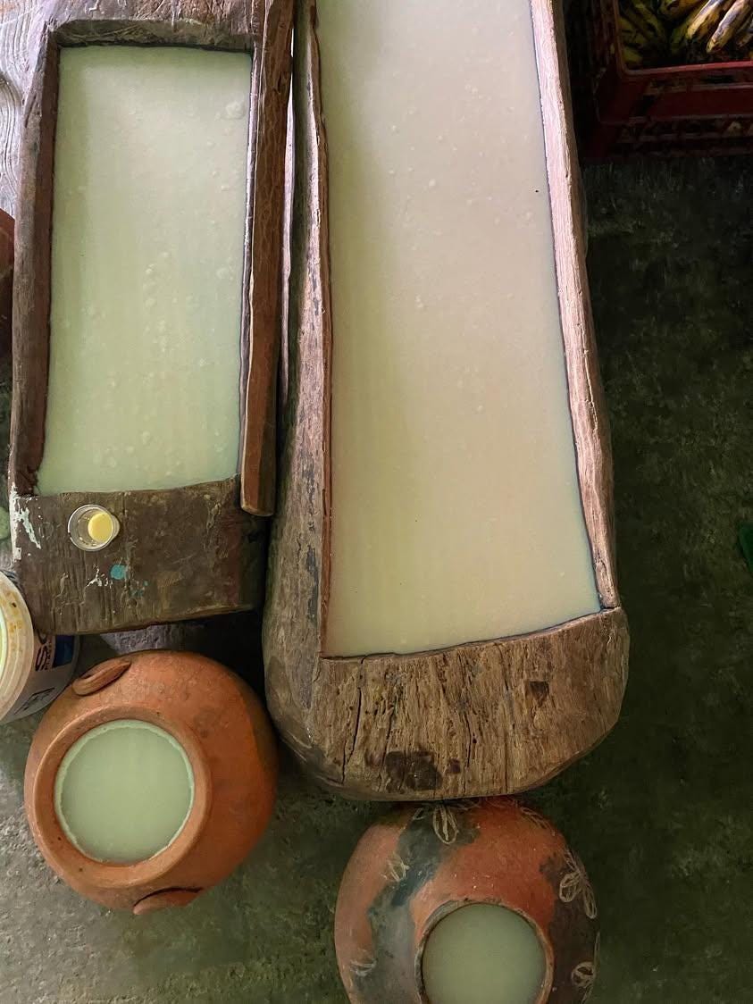 La Chicha de Maíz Fermentado: Bebida Ancestral y Símbolo Cultural cap 1.