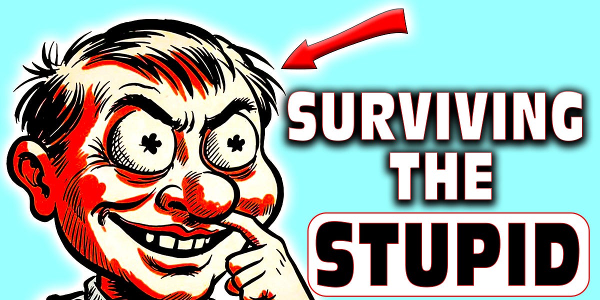 Surviving the Stupid - Christopher Jon Bjerknes