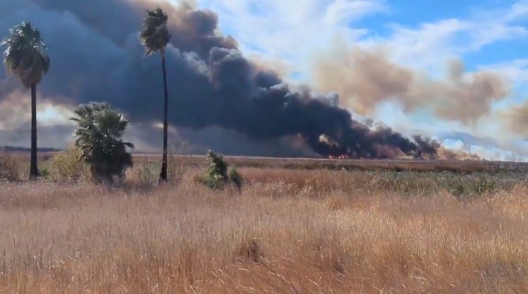 Prescribed Fire Escapes In Arizona, Burning Over 4,000 Acres.
