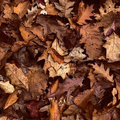 The Art of the November Album - by rain! - Use Your Words