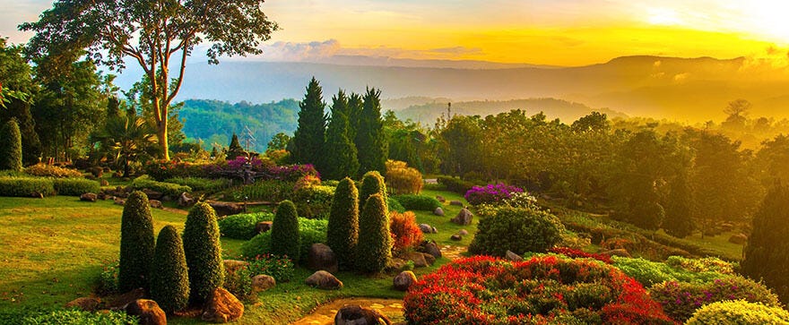 Terral Answers Lindsay's Black Star and Survival Group-related Questions