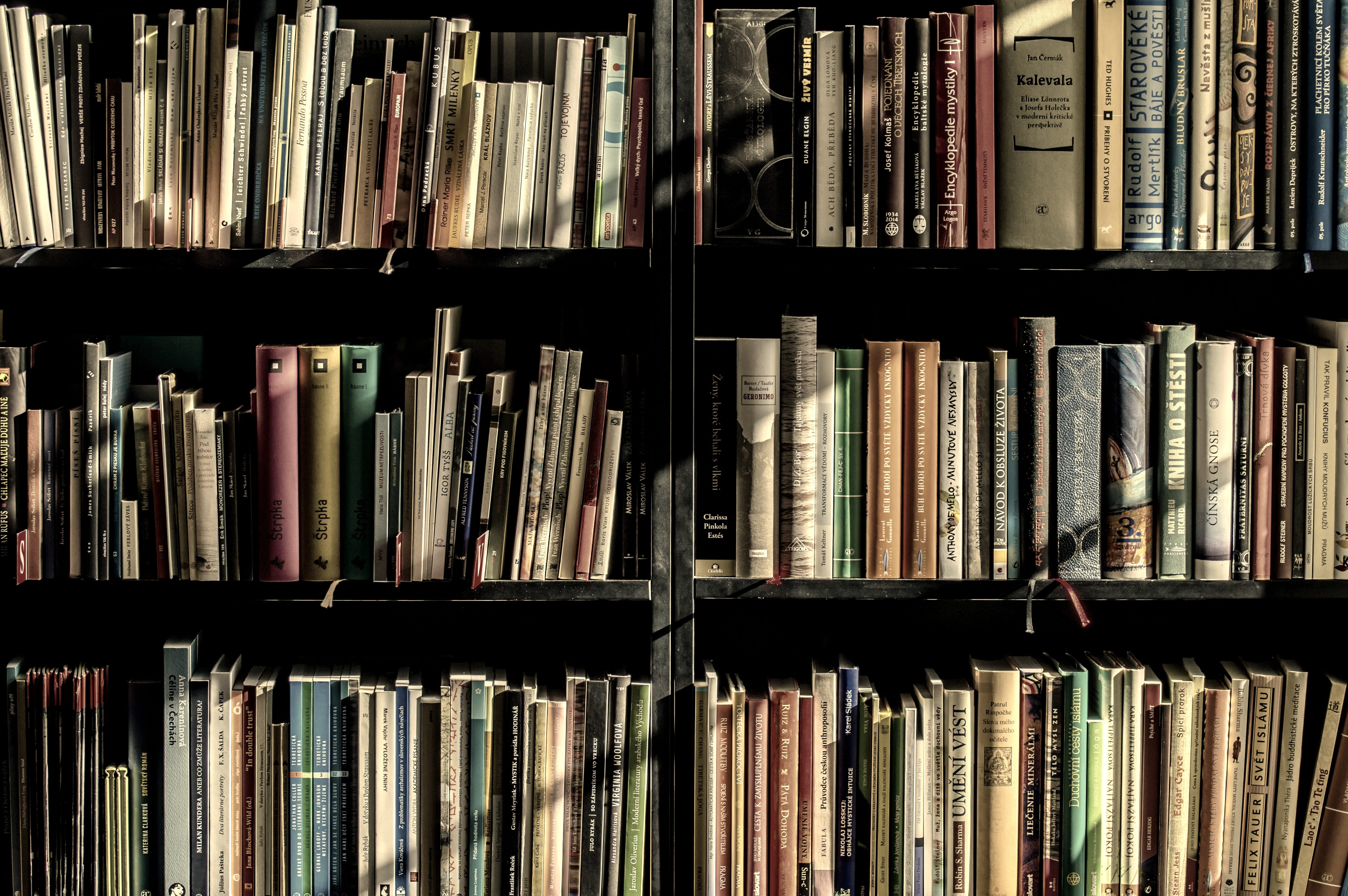 The Reference Room - by Dr. Sahar Martinez