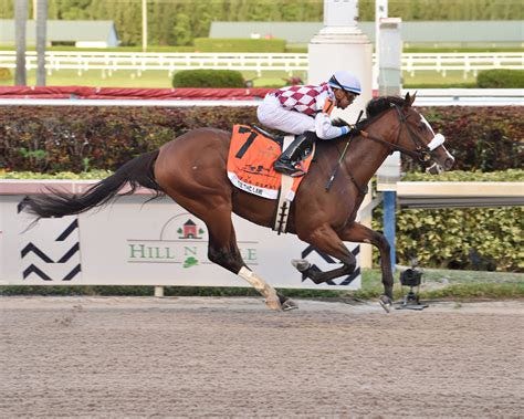 Fair Grounds picks for Sunday (12/22) - Picking Horses