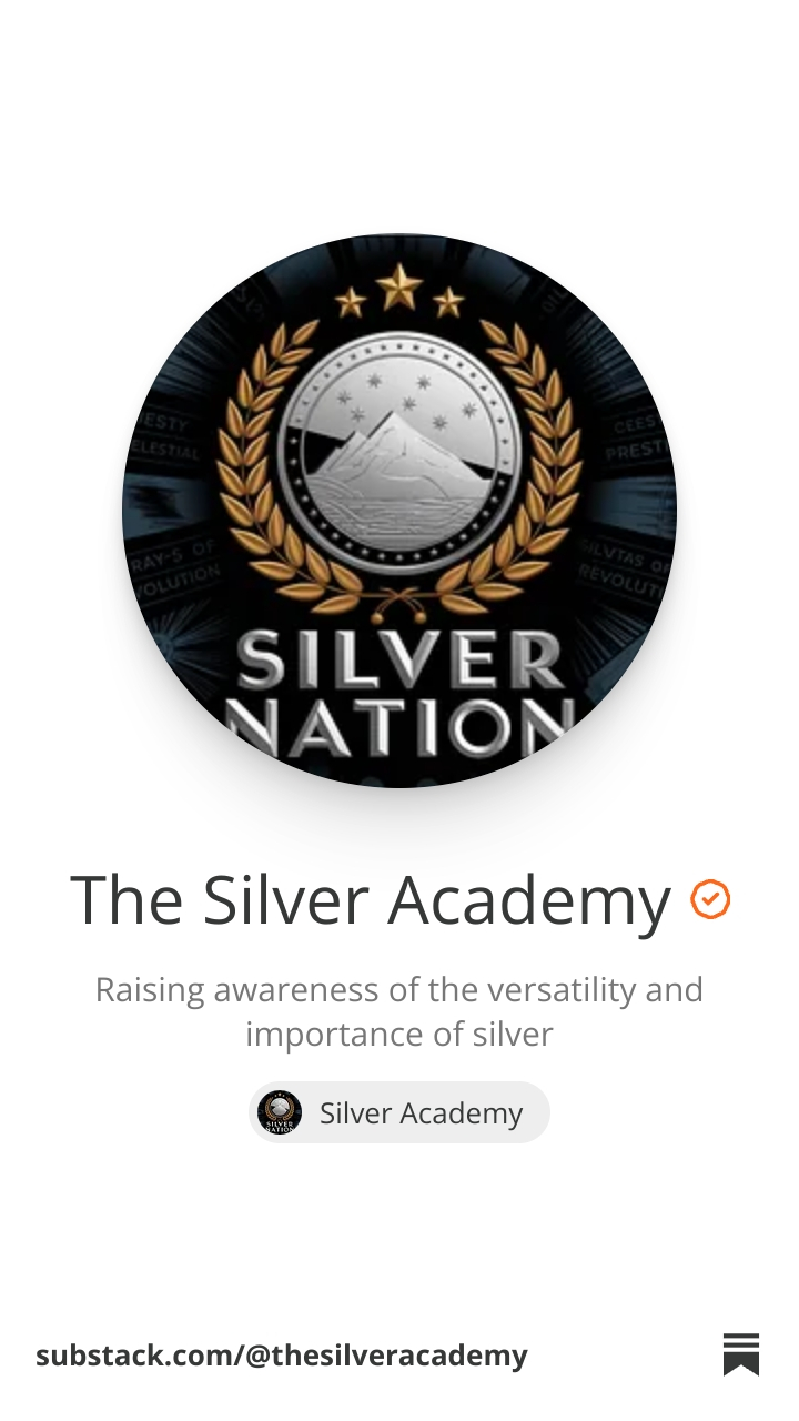 The Silver Academy | Substack
