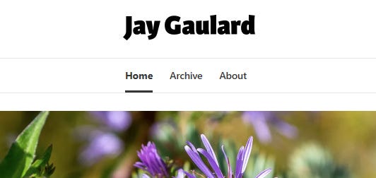 Adding a Wordmark to My Substack Blog