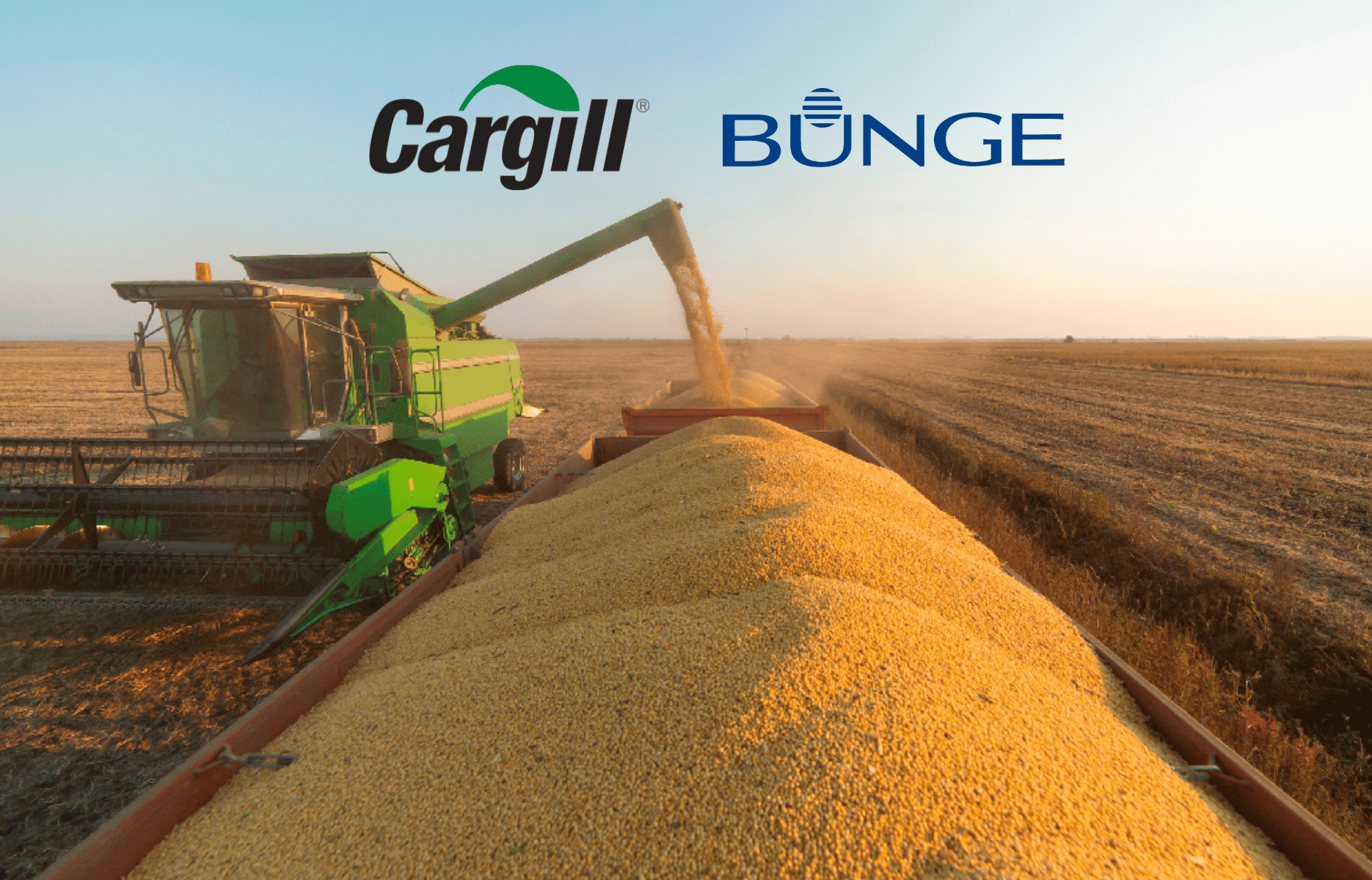 Bunge e Cargill: Como Duas Multinacionais se Tornaram Donas do ...