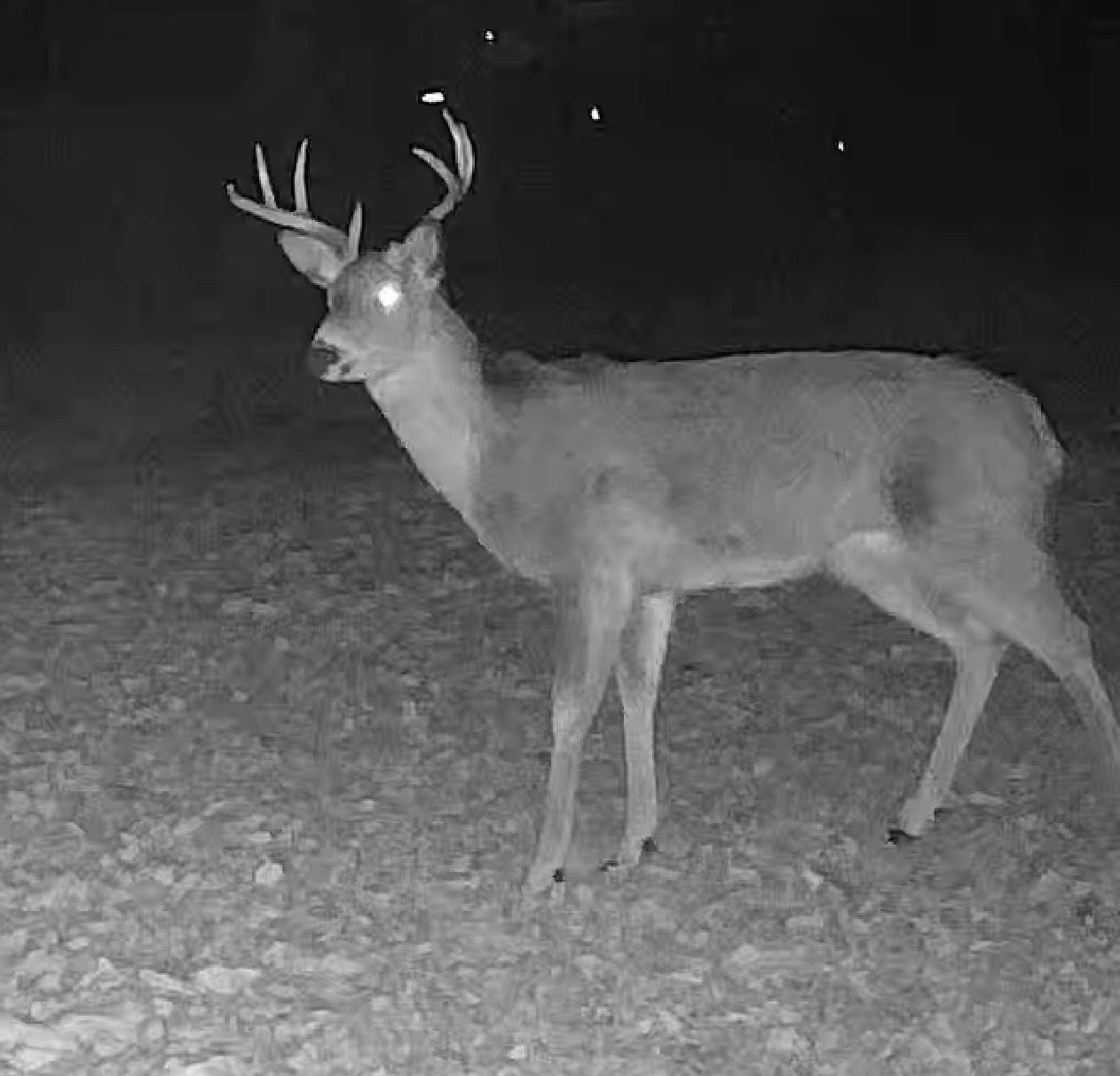 Tom Homan: Defining Deviancy Down - by Charlie Sykes