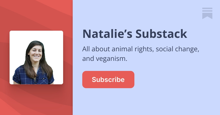 Natalie’s Substack | Natalie Fulton | Substack