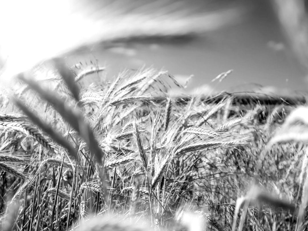 The Lie of Poverty Series - by Rev. David Alexander