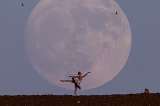 Sara's Fun Facts | Substack