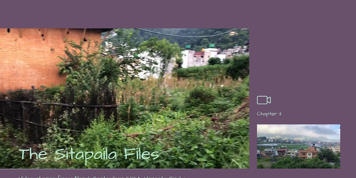 The Sitapaila Files - by Veneeta Singha